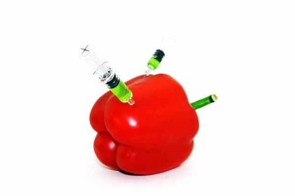 What are GMOs? – National CSA Directory
